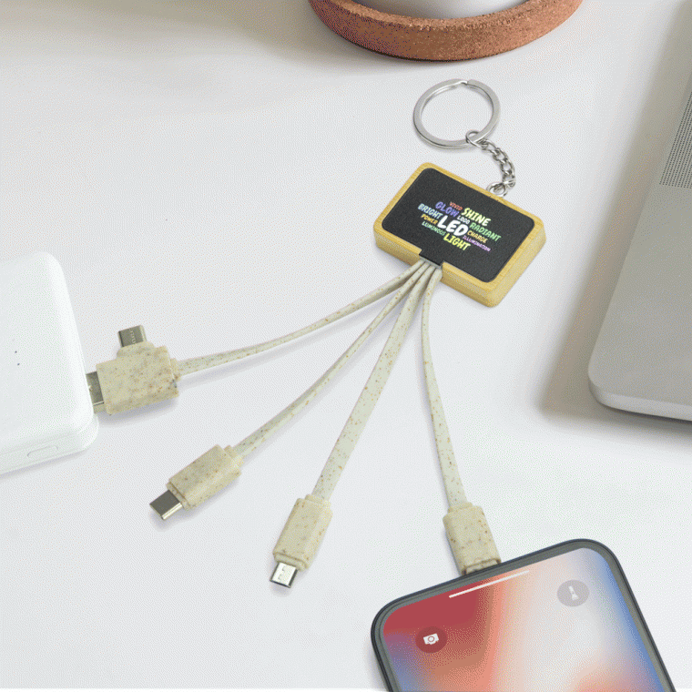 LED ECO 5-in-1 Multi Cable - Will International