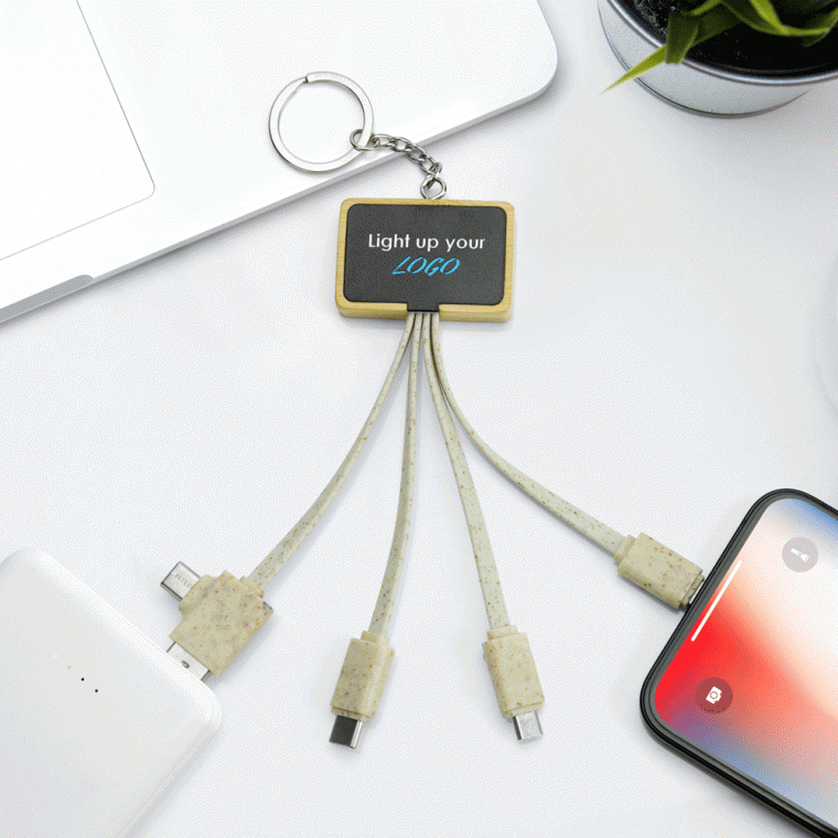 LED ECO 5-in-1 Multi Cable - Will International